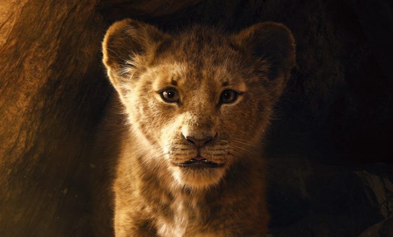 First Look At Disney’s “The Lion King” – What's On Disney Plus
