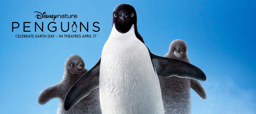 Disneynature Marks 10 Years With New Video – What's On Disney Plus