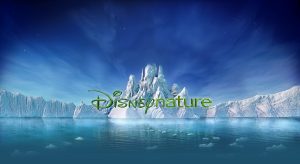 Disneynature Marks 10 Years With New Video – What's On Disney Plus