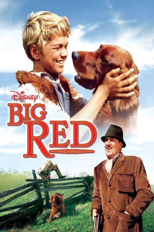 “Big Red” Series Coming To Disney+ – What's On Disney Plus