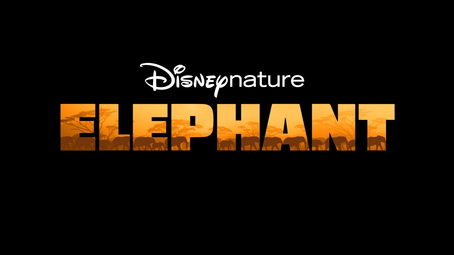 What’s New On Disney+ | DisneyNature’s Penguins, Elephants & Dolphin ...