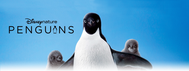 DisneyNature Penguins Coming To Disney+ In April | What's On Disney Plus