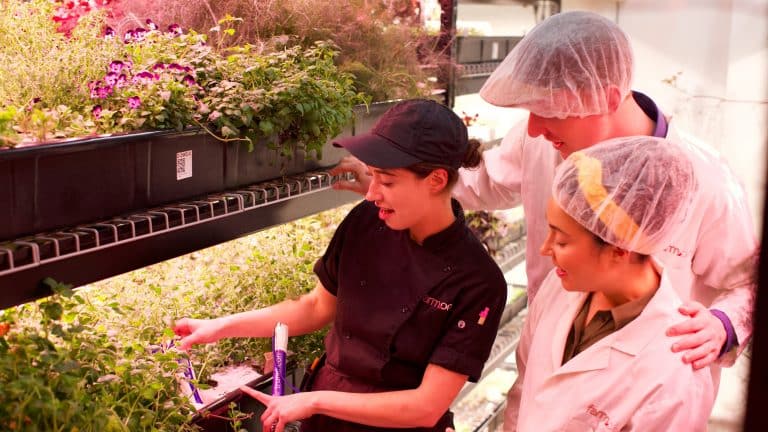 "Weird But True" Season 3 Preview Images Released | What's On Disney Plus