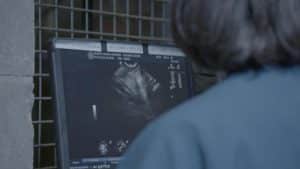 The Magic Of Disney’s Animal Kingdom – Episode 6 – The Big Egg ...