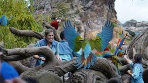 The Magic Of Disney’s Animal Kingdom – Episode 3 – Happy Birthday, Gino ...