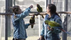 The Magic Of Disney’s Animal Kingdom – Episode 3 – Happy Birthday, Gino ...