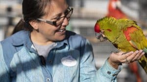 The Magic Of Disney’s Animal Kingdom – Episode 3 – Happy Birthday, Gino ...