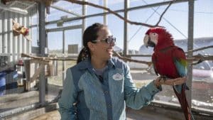 The Magic Of Disney’s Animal Kingdom – Episode 3 – Happy Birthday, Gino ...