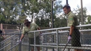 The Magic Of Disney’s Animal Kingdom – Episode 4 – Aardvark Love ...