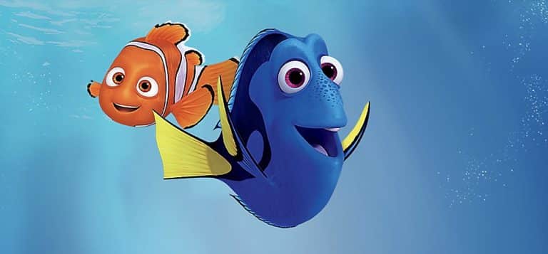 Dory’s Reef Cam Coming Soon To Disney+ – What's On Disney Plus