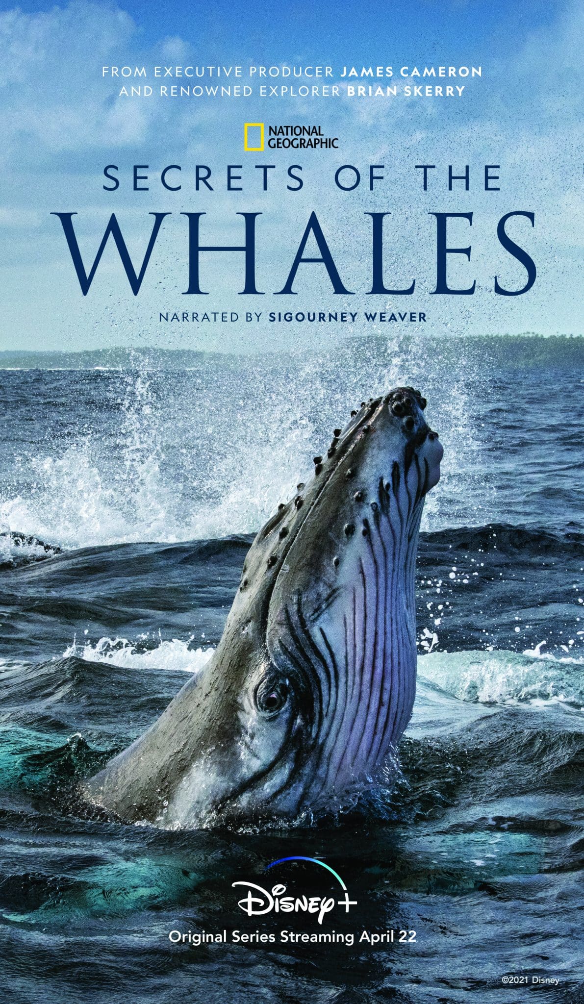 Secrets Of The Whales Coming To Disney+ On Earth Day – What's On Disney ...