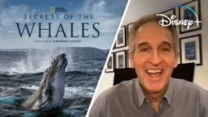 Secrets Of The Whales: Episode 101 | Disney+ Preview | What's On Disney ...