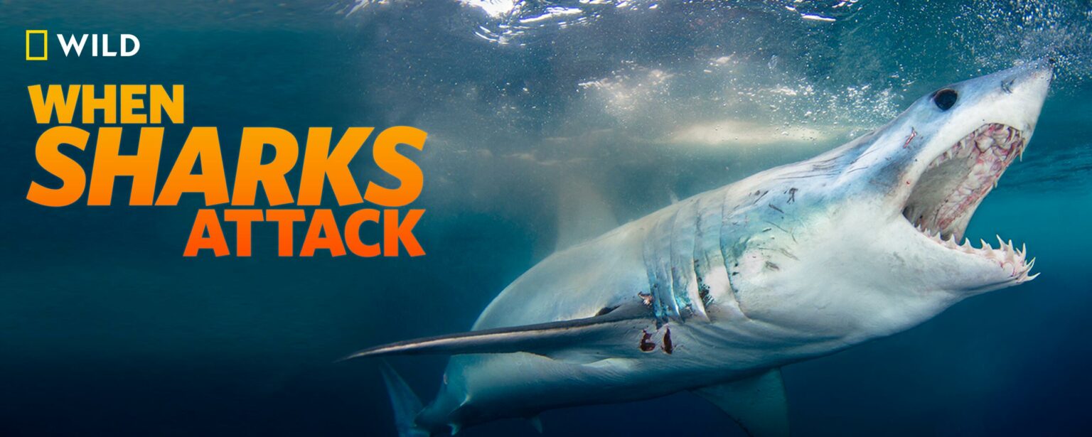 What’s Coming To Disney+ In July 2021 (US) | What's On Disney Plus