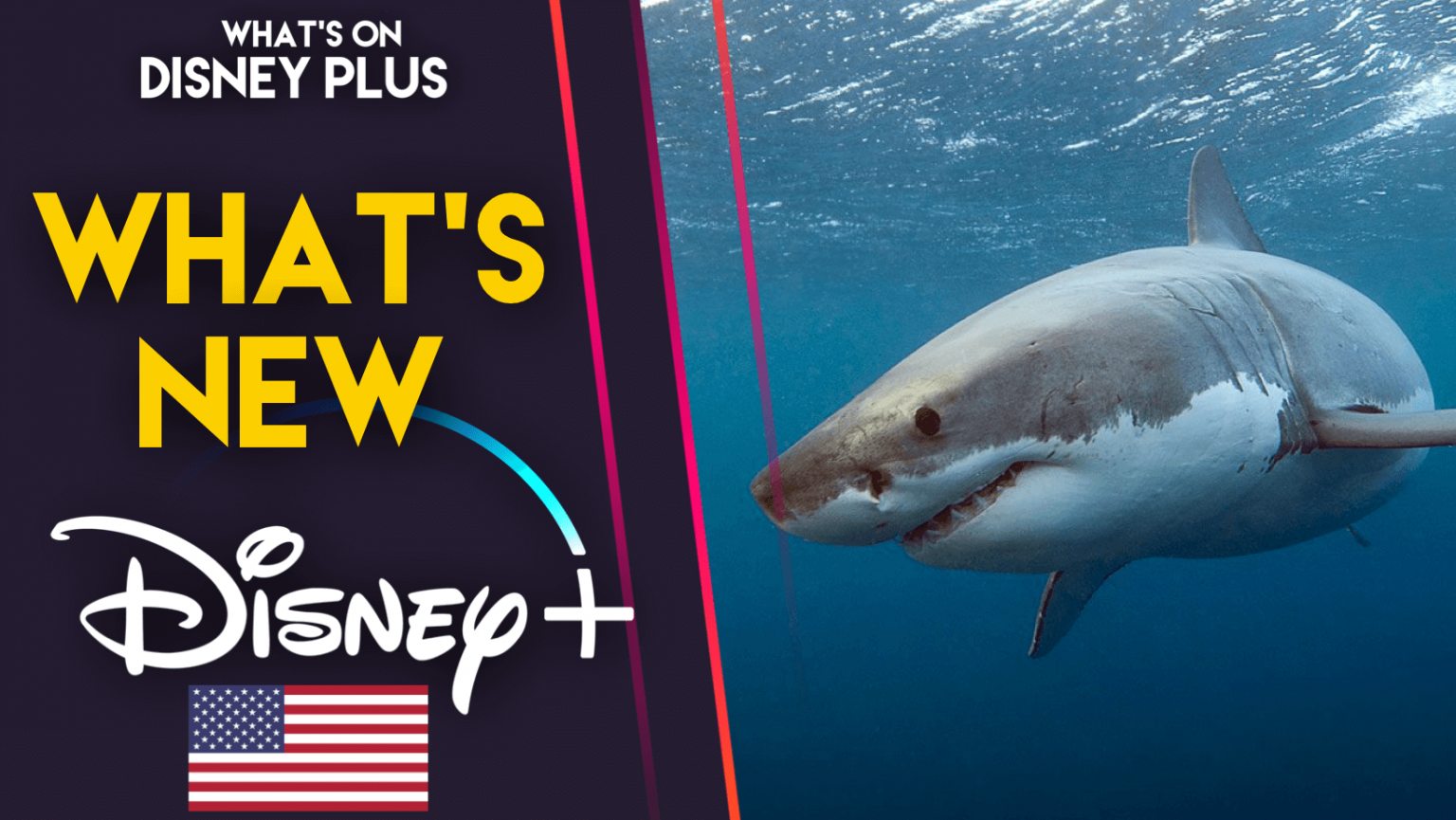 What’s New On Disney+ | United Sharks of America (US) – What's On ...