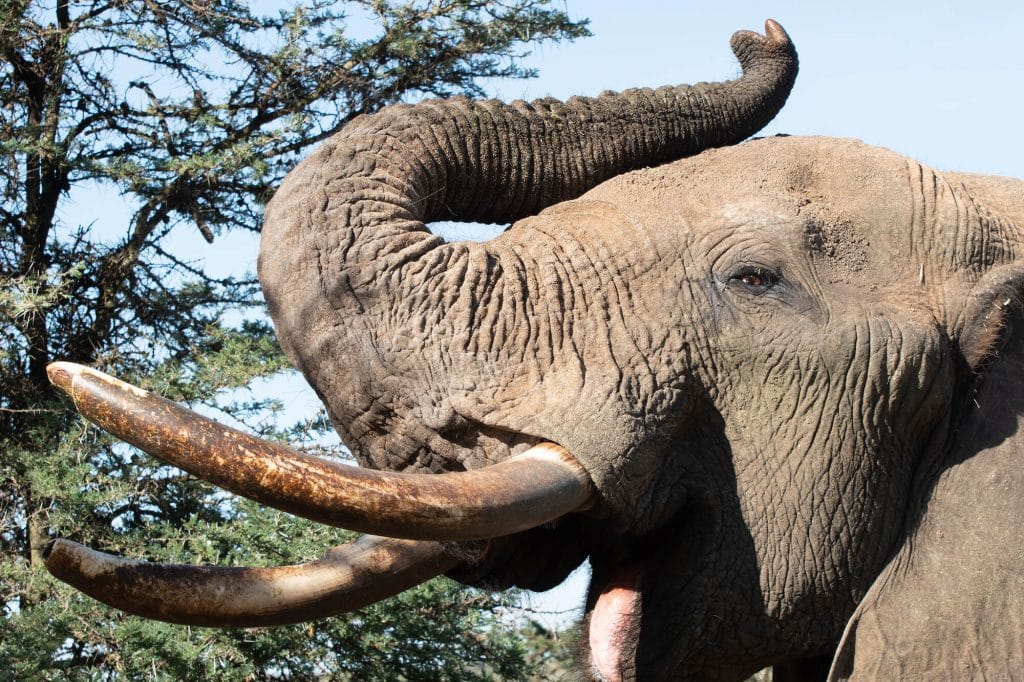 Super/Natural – Episode 101 – “Strange Relations” | Disney+ Preview – What's On Disney Plus