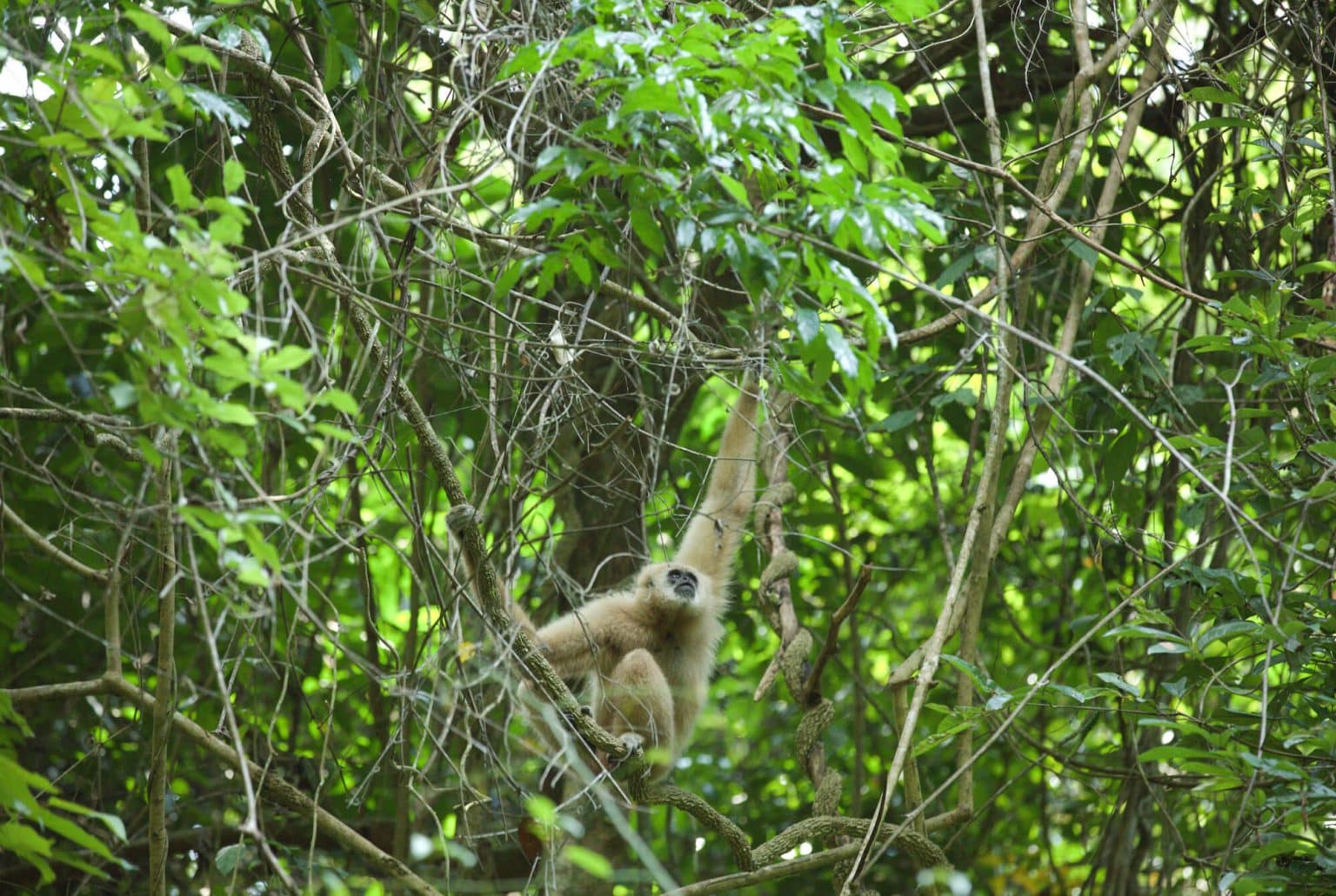 Super/Natural – Episode 102 – “The Mating Game” | Disney+ Preview ...