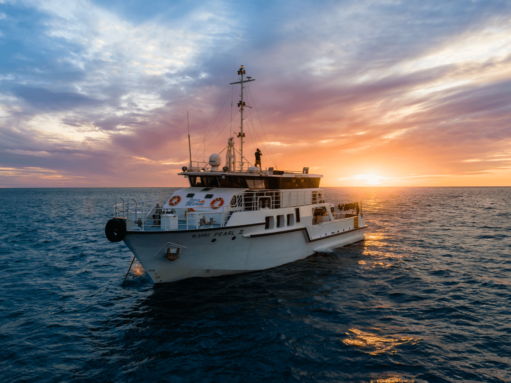 First Look At Disney+ Original Series “Shipwreck Hunters Australia ...