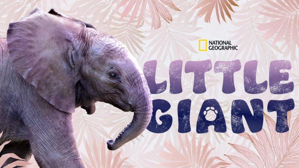 What’s New On Disney+ | Strange World (US) – What's On Disney Plus