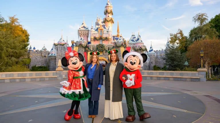 Maya Rudolph Looking Forward To Playing A Villain In Disney+ Original ...