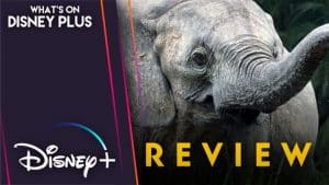 Secrets Of The Elephants | National Geographic Review – What's On ...