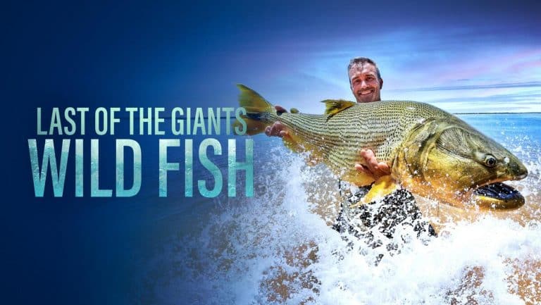 What’s Coming To Disney+ This Week | Stan Lee (US) – What's On Disney Plus