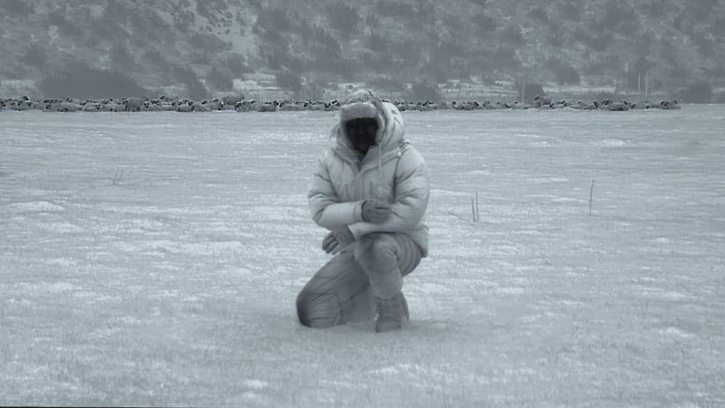 Animals Up Close With Bertie Gregory – Episode 204 – “Patagonia Puma ...